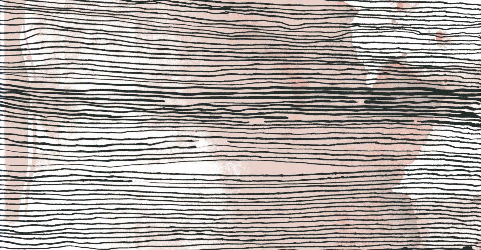 The Fragility Papers – A Novel | A Quill At Work